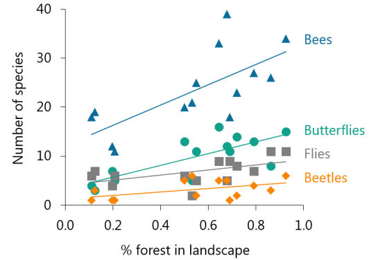 Pollinators – POLLINATOR LAB