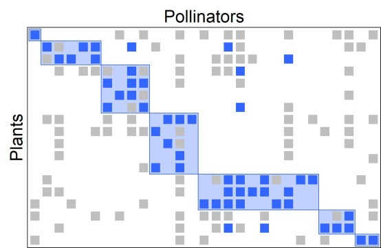 Ecological networks – POLLINATOR LAB