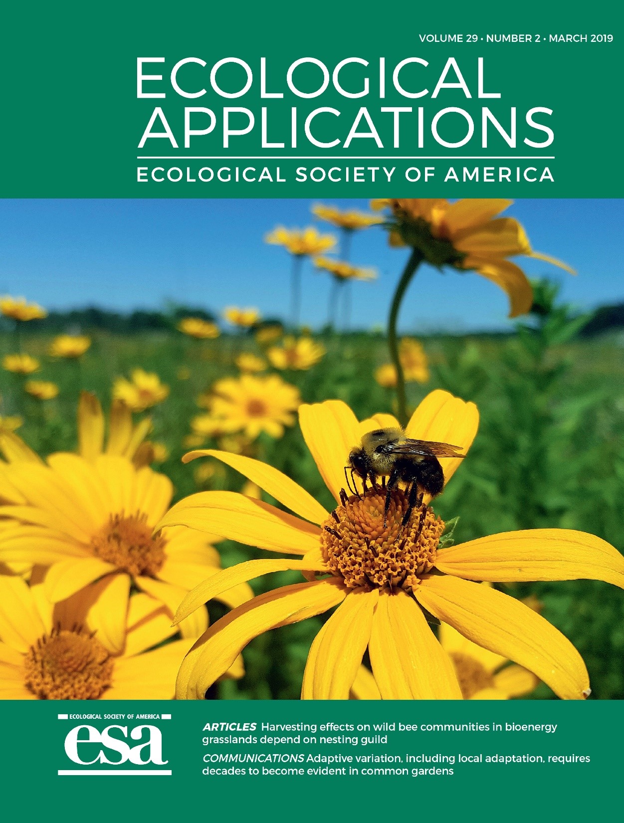 Lab news – POLLINATOR LAB