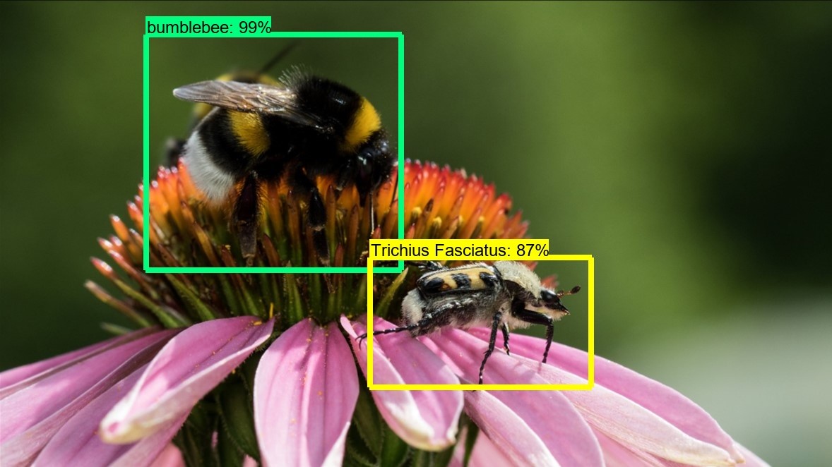 Research – POLLINATOR LAB